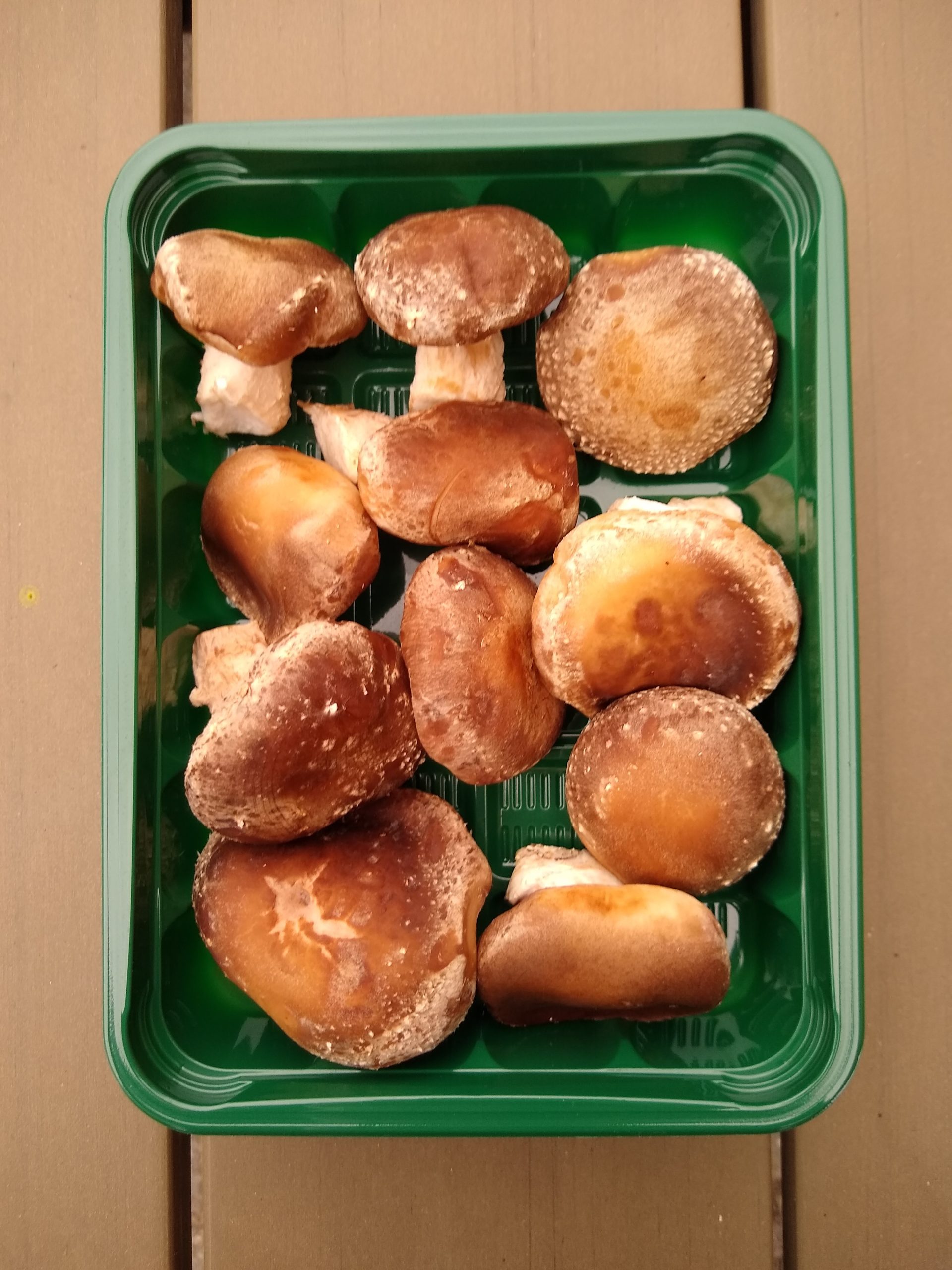 Shiitake - Local Food Eindhoven
