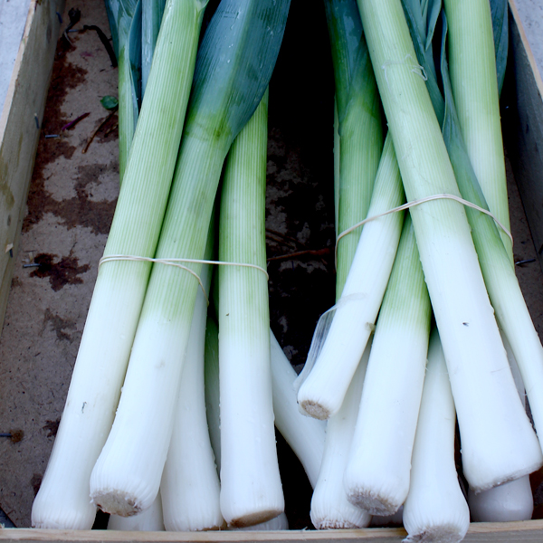 Prei - Local Food Eindhoven